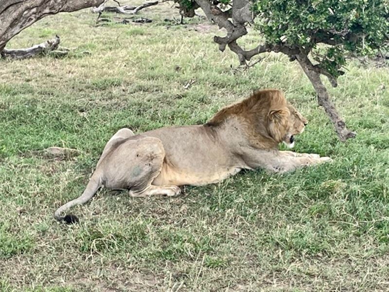 Luc Reynders op rondreis door Afrika (1) - Internetgazet Heusden-Zolder