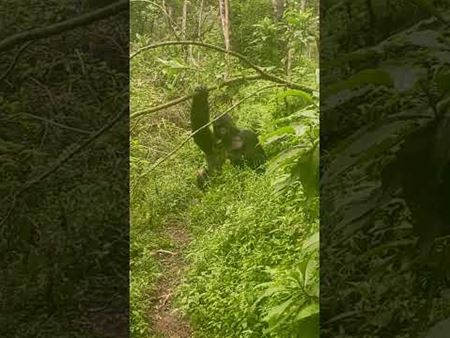 Luc Reynders op rondreis door Afrika (2) - Internetgazet Heusden-Zolder