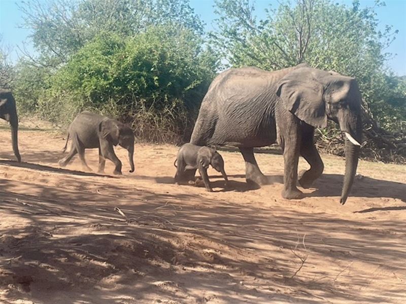 Luc Reynders op rondreis door Afrika (6) - Internetgazet Heusden-Zolder
