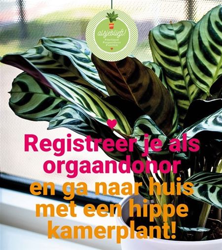 Nieuwe campagne om orgaandonor te worden - Internetgazet Heusden-Zolder