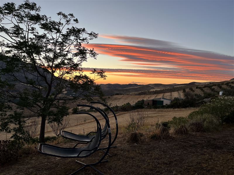 Heusden-Zolder, het nieuws - Internetgazet