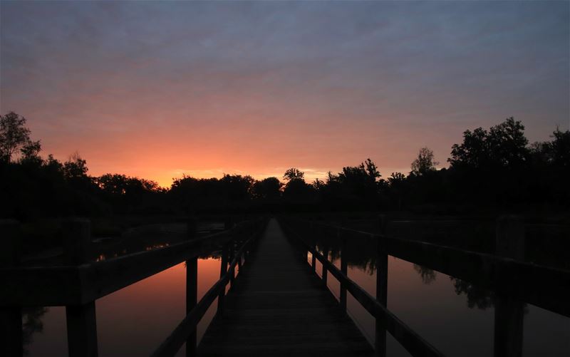 Vanochtend gezien - Internetgazet Heusden-Zolder