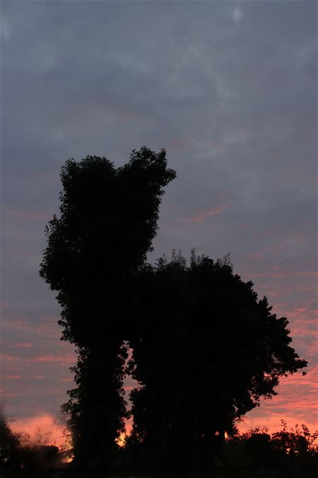 Vanochtend gezien - Internetgazet Heusden-Zolder