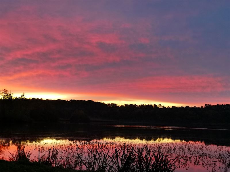 Vanochtend gezien - Internetgazet Heusden-Zolder