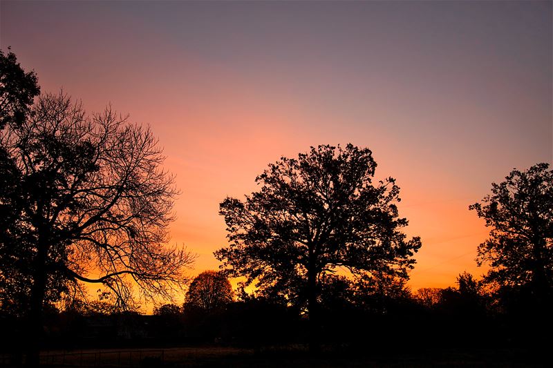 Vanochtend gezien - Internetgazet Heusden-Zolder