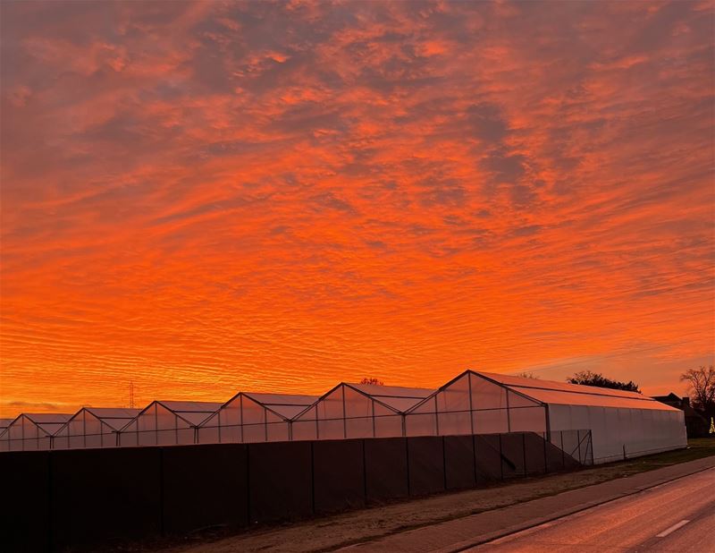 Vanochtend gezien - Internetgazet Heusden-Zolder