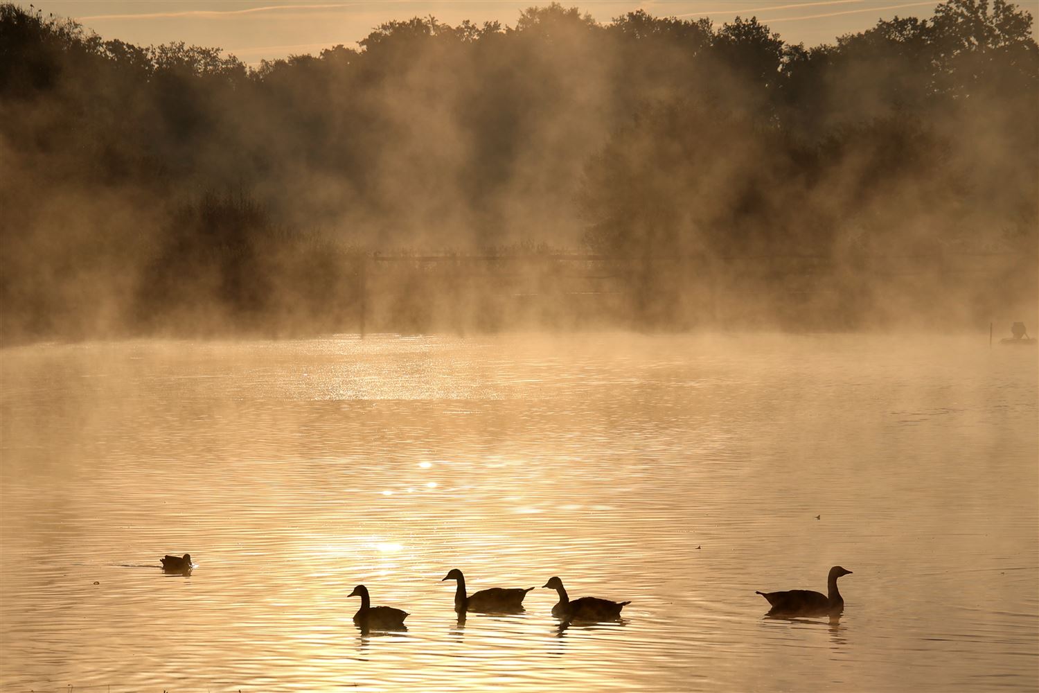 Vanochtend gezien - Internetgazet Heusden-Zolder