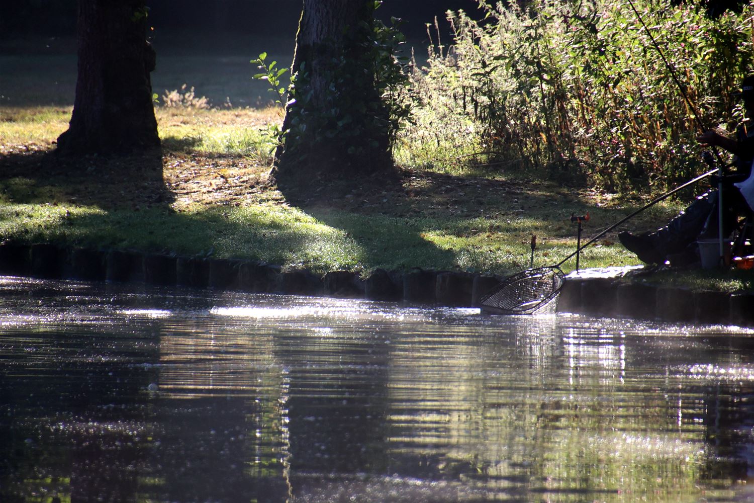 Vanochtend gezien - Internetgazet Heusden-Zolder
