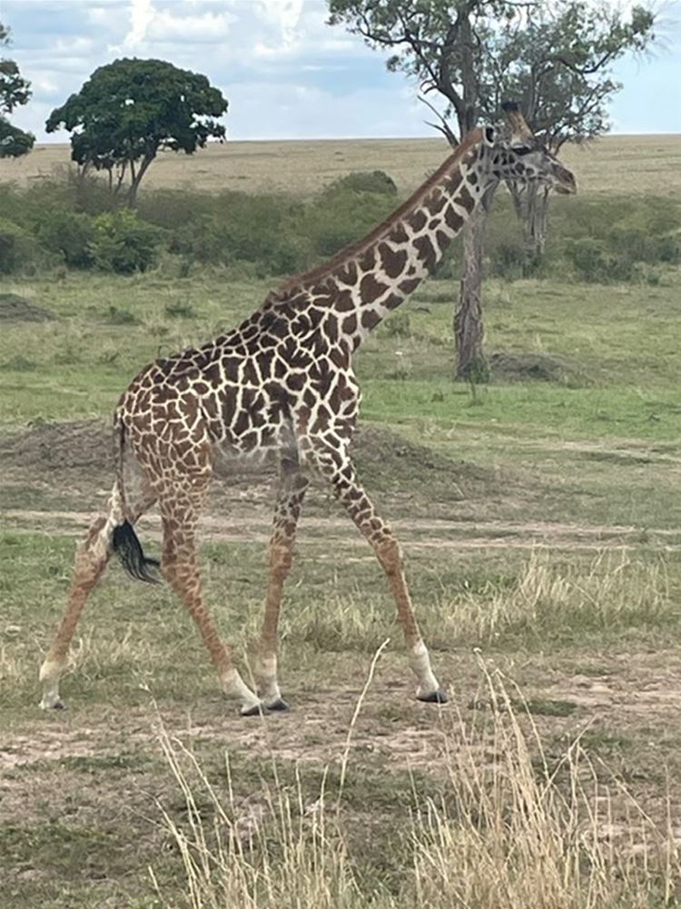 Luc Reynders op rondreis door Afrika (1) - Internetgazet Heusden-Zolder