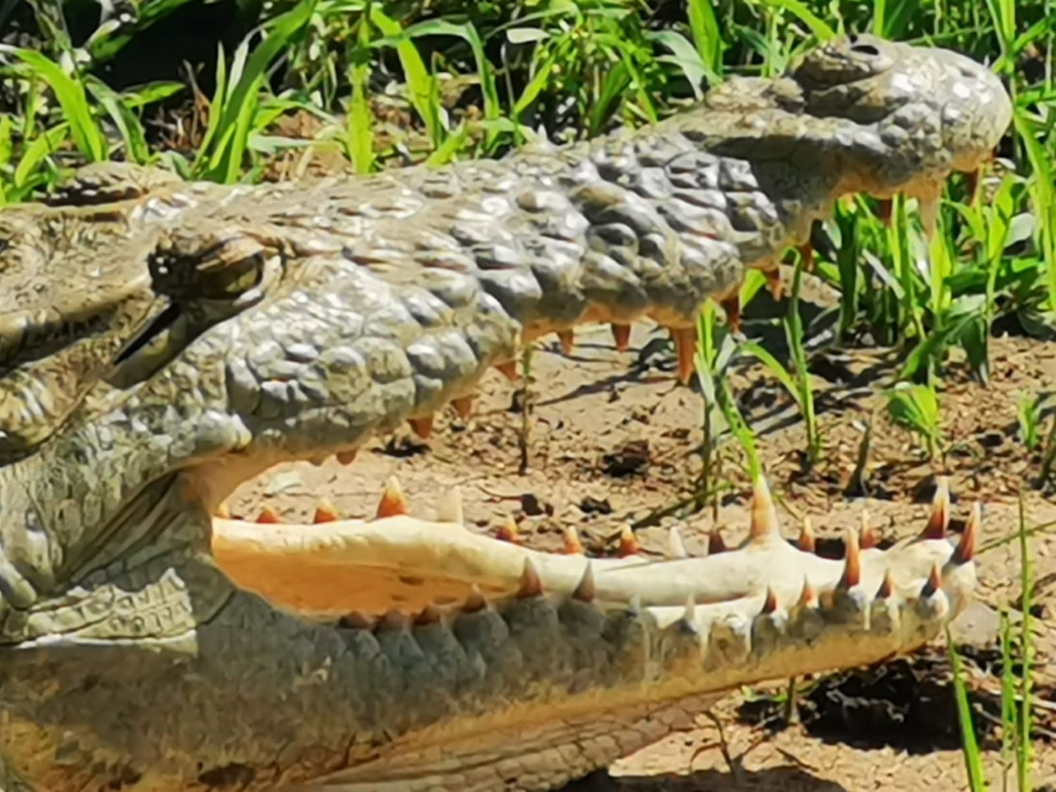 Luc Reynders op rondreis door Afrika (2) - Internetgazet Heusden-Zolder