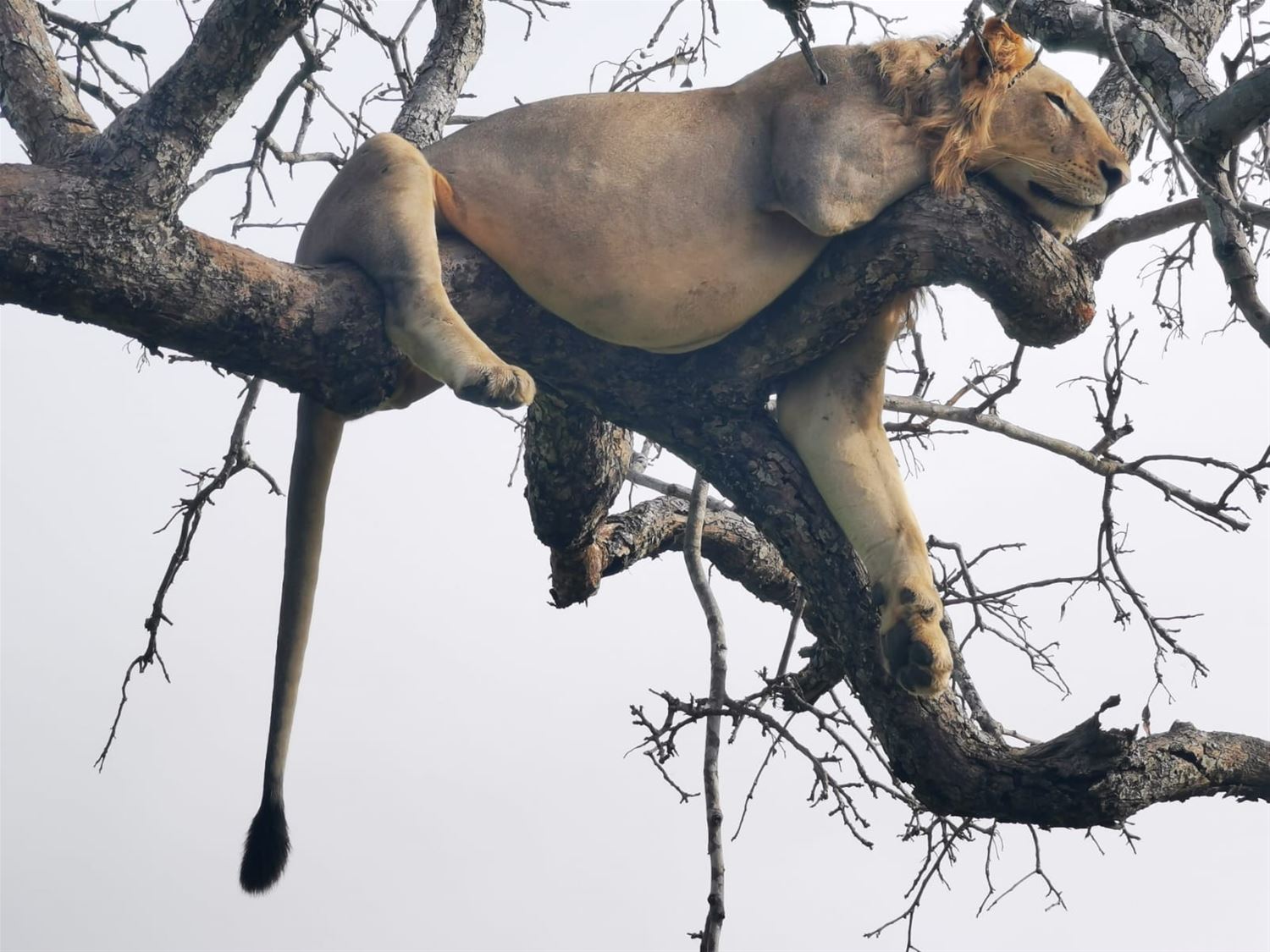 Luc Reynders op rondreis door Afrika (2) - Internetgazet Heusden-Zolder