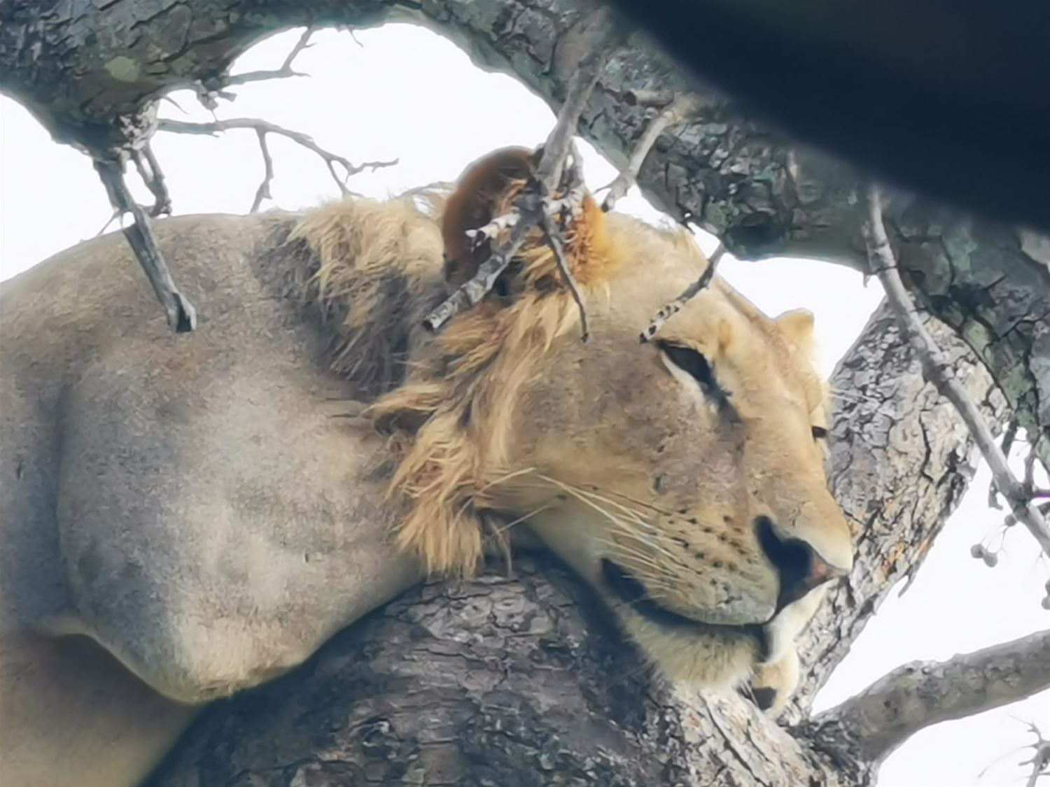 Luc Reynders op rondreis door Afrika (2) - Internetgazet Heusden-Zolder