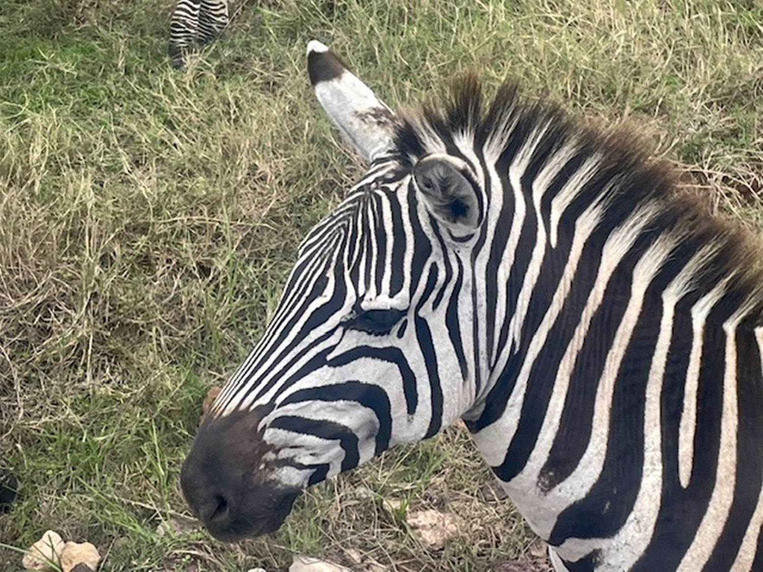 Luc Reynders op rondreis door Afrika (2) - Internetgazet Heusden-Zolder