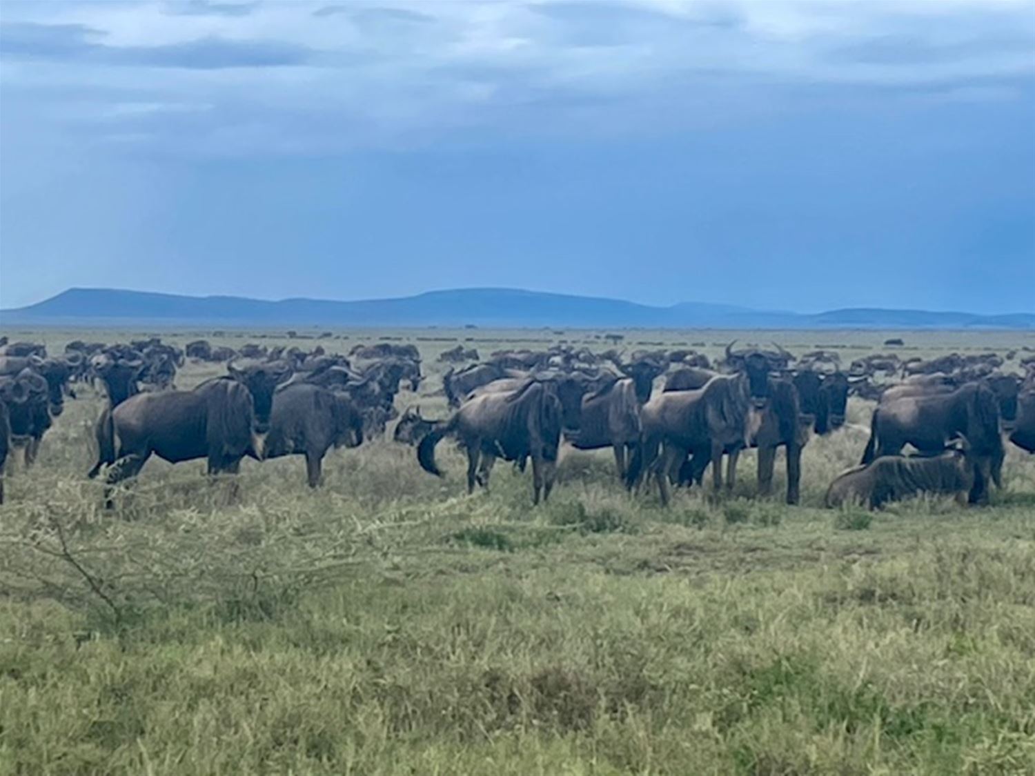 Luc Reynders op rondreis door Afrika (2) - Internetgazet Heusden-Zolder