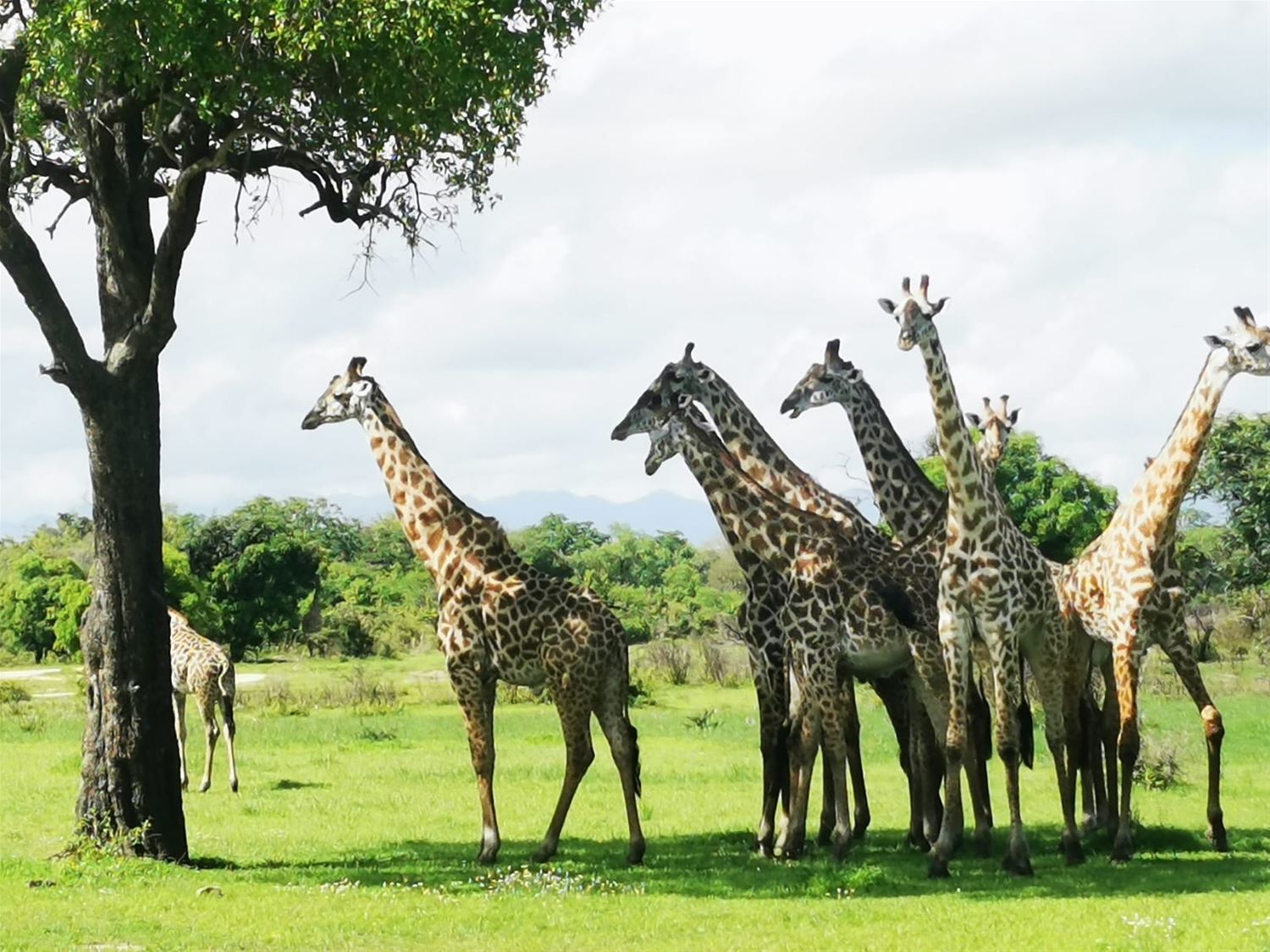 Luc Reynders op rondreis door Afrika (slot) - Internetgazet Heusden-Zolder