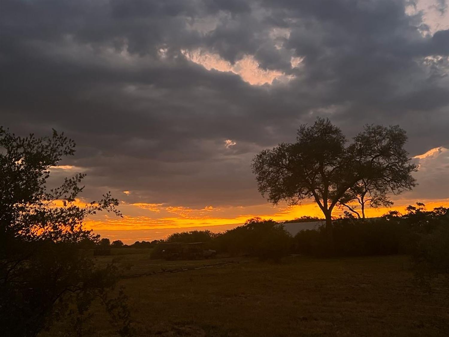 Luc Reynders op rondreis door Afrika (slot) - Internetgazet Heusden-Zolder